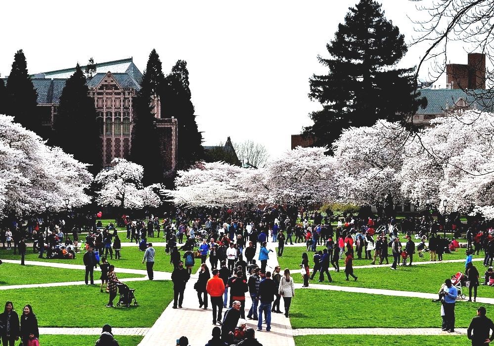 List Of Colleges And Universities In Washington - Washington Community ...