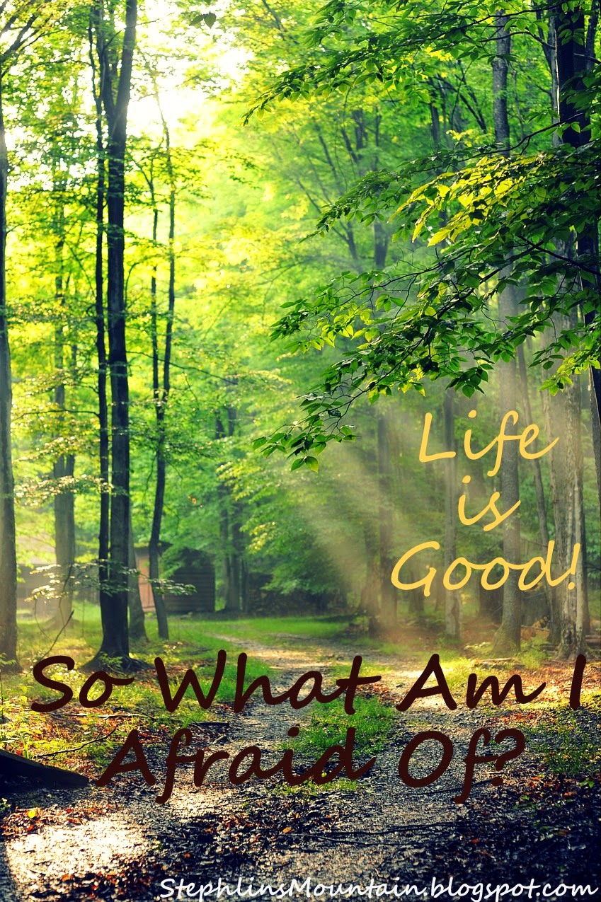 Stephlin's Mountain: Life is Good! -- So What am I Afraid Of?