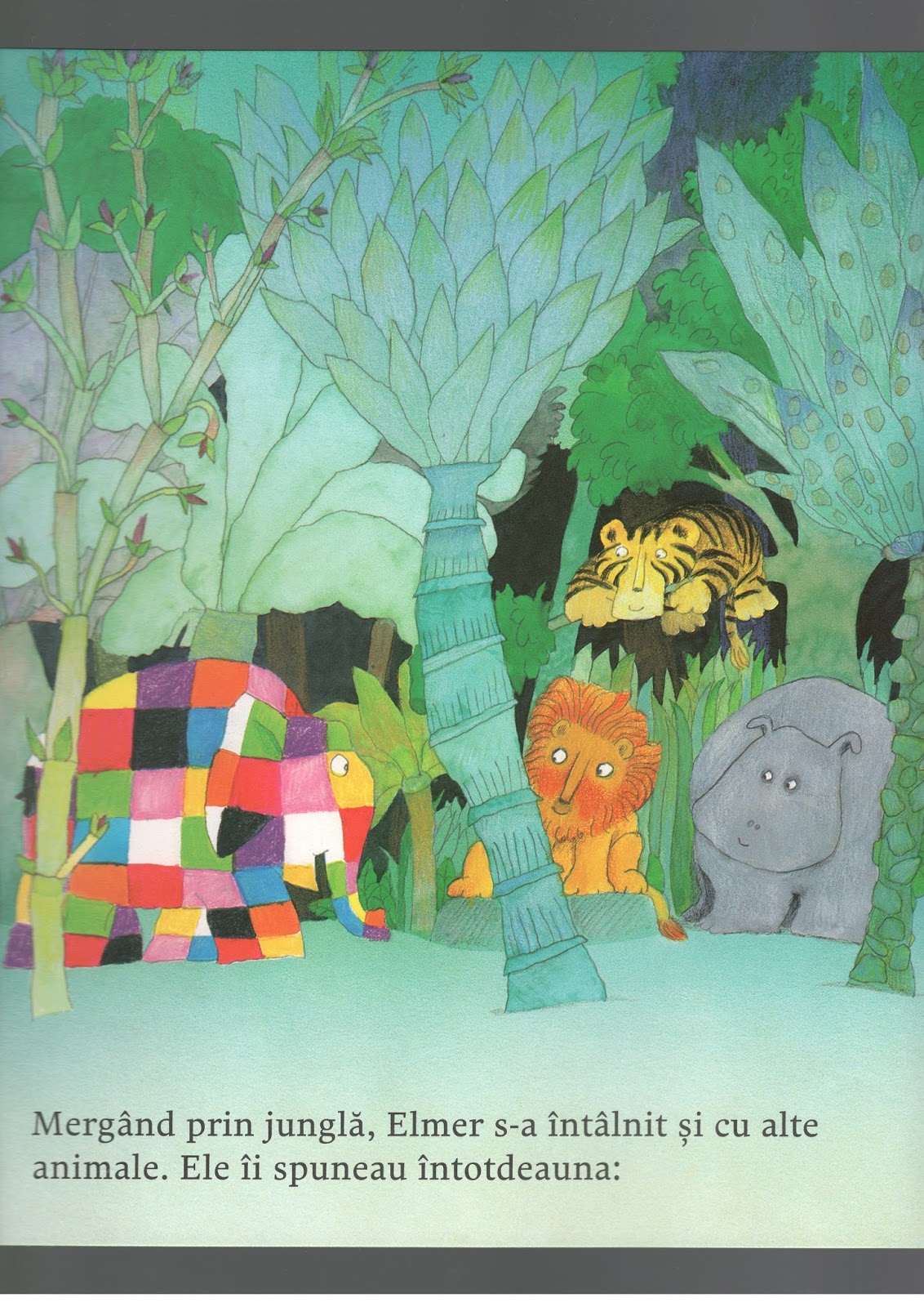 Vremea copilariei: Cartile despre Elefantul Elmer