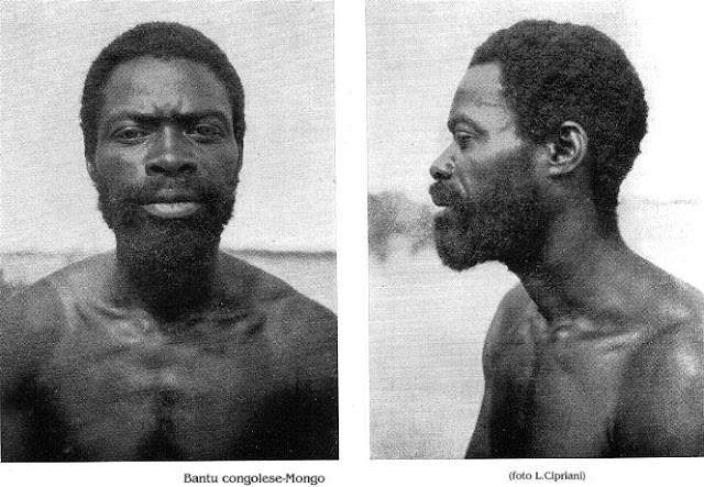 GSIAS BLOGS: MAJOR RACES AND THEIR HISTORICAL PERSPECTIVE OF INDIAN SOCIETY