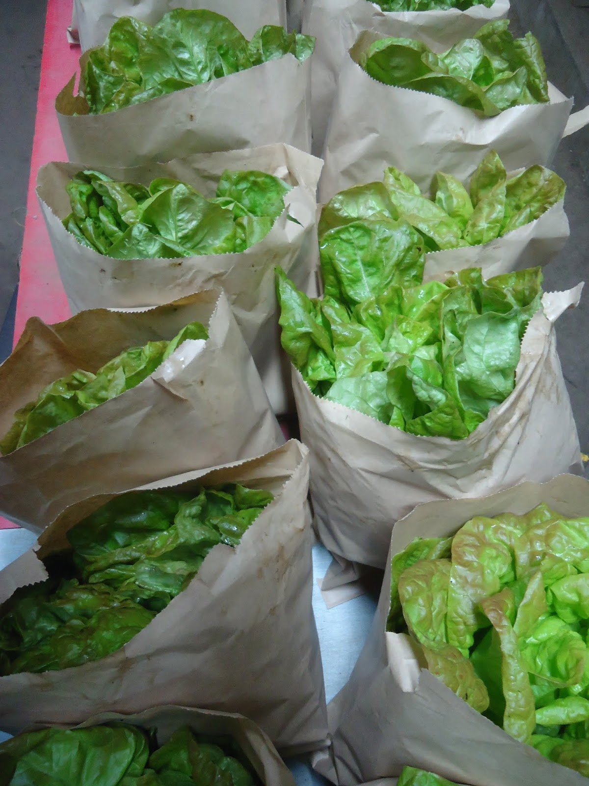 Bosavern Community Farm: This week's veg boxes