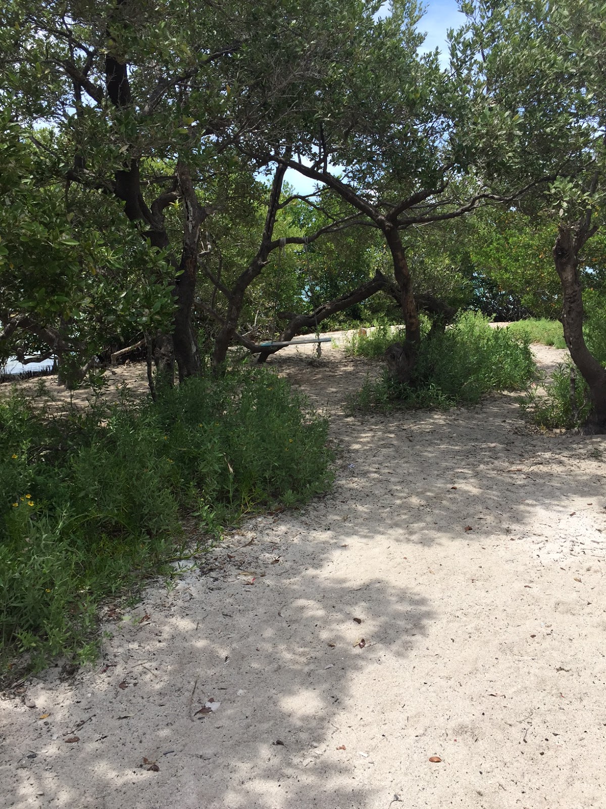 Exploring The Florida Keys: Picnic Island - a day in the life of a mom