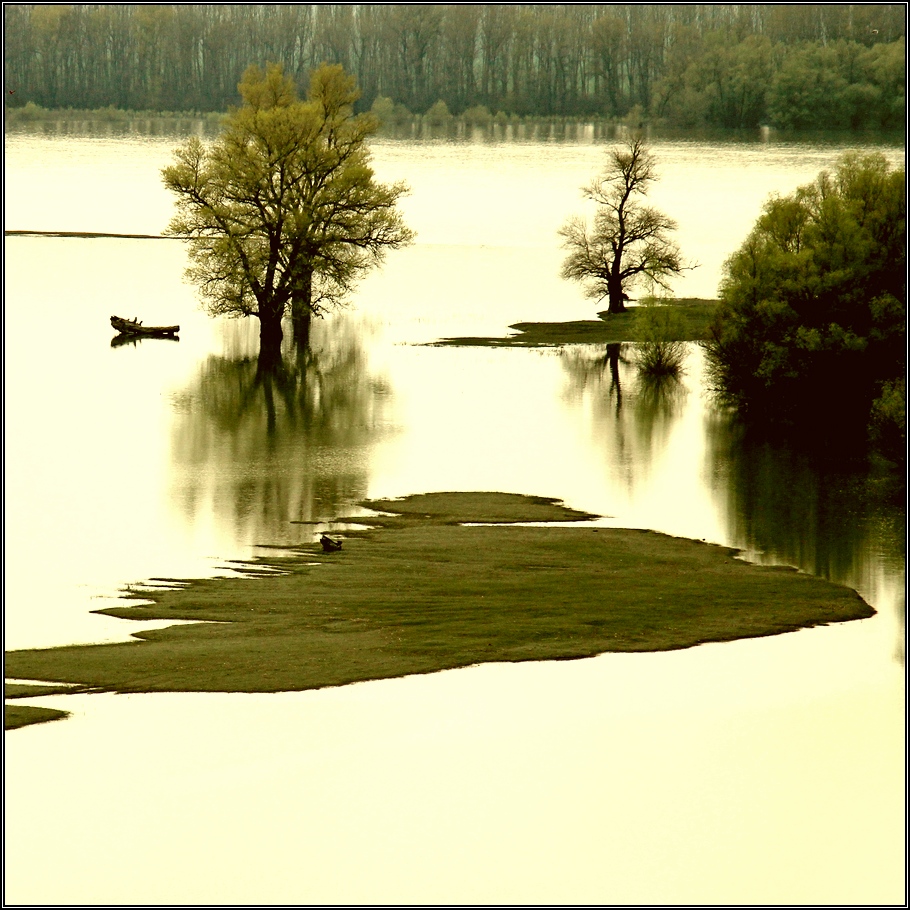 despre ....... lumea mea.: ...lunca dunarii la seimeni II