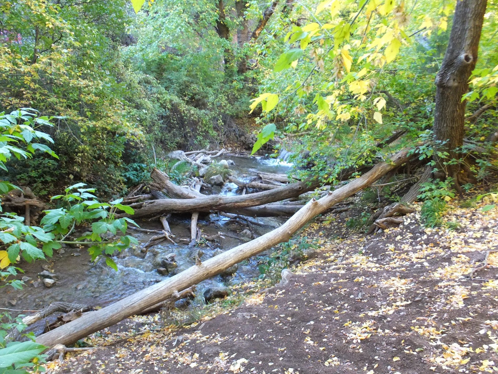 New Mexico Camping: Las Huertas Canyon & Sandia Man Cave