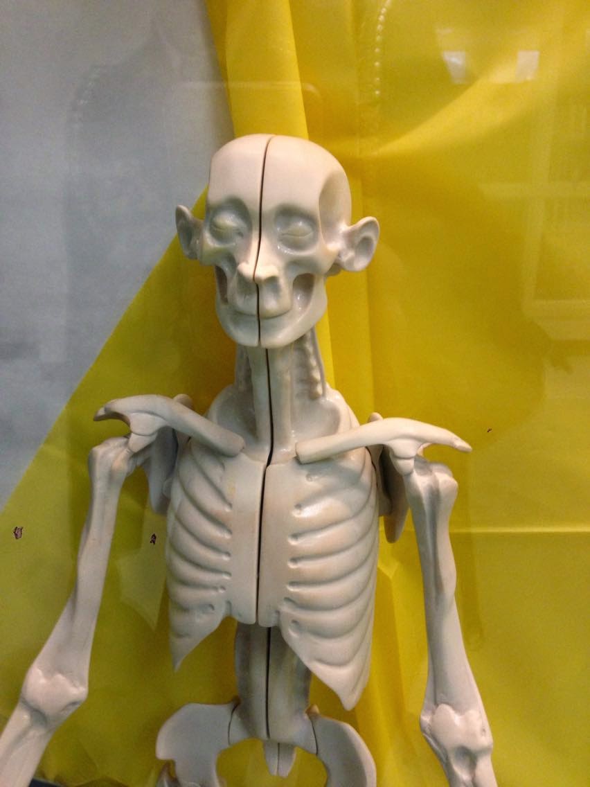 I Have Seen The Whole Of The Internet: Skeleton With Ears