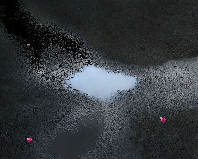 Steven D. Foster ~ Photographs : The Departing Landscape website: WATER ...