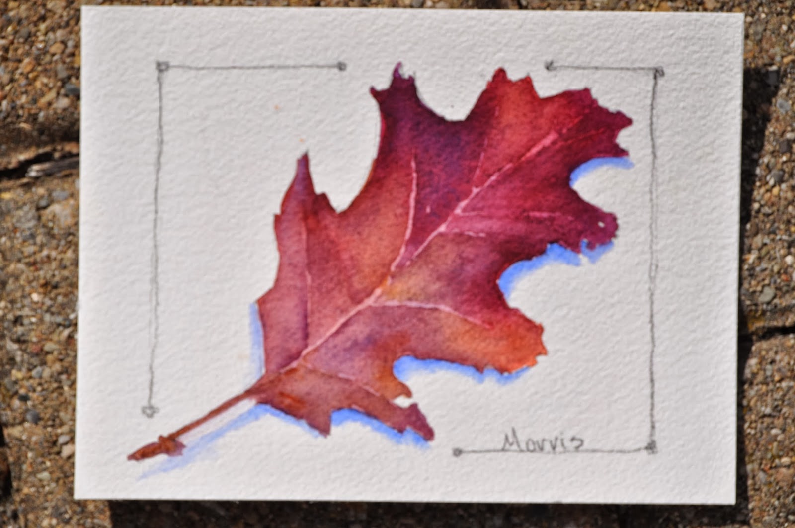 living a creative life: The Leaf Metaphor Won't Leaf Me Alone!