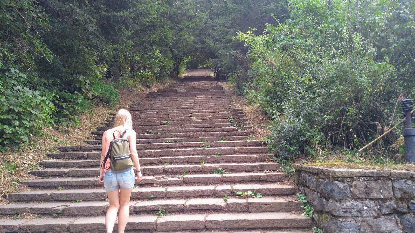 Battle of Shipka Pass 1877-1878 - The Belgian Explorer