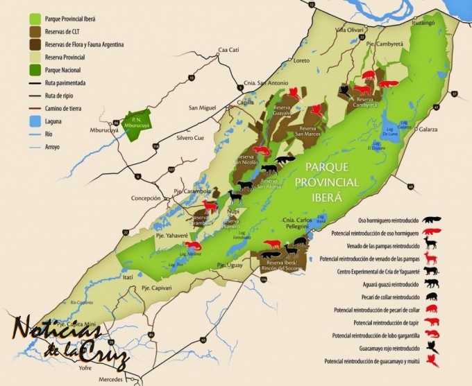 subí que te llevo: IBERA PARQUE ECOTURISTICO