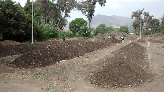 Windrow composting - Treating Organics