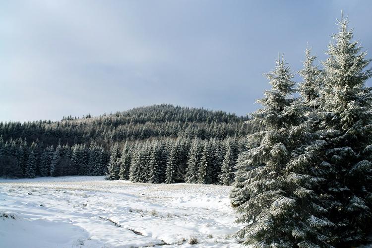 Mountain Beauties: Muntii Oas, Gutai, Tibles: Trasee, Localitati si ...