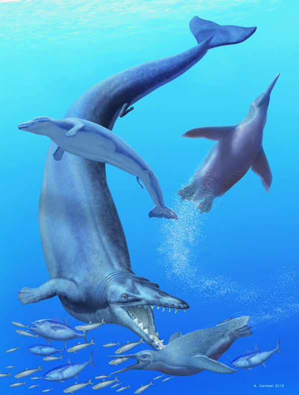 El Pensieve de Dinorider: Mystacodon selenensis, aspiradoras ancestrales