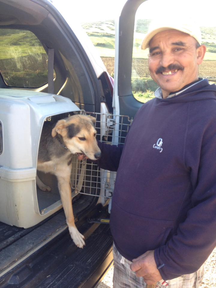 Madeline's Fairy-Tails: Helping Animals in Tangier, Morocco at Le ...