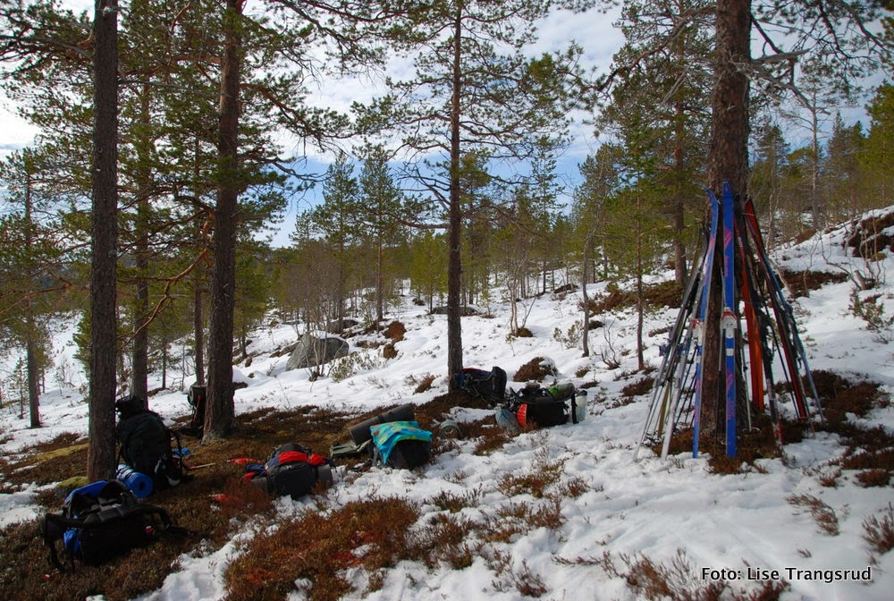 Naturlig Jobb: Bålvakt ved Stemtjønna - med blanke ark og fargestifter tel