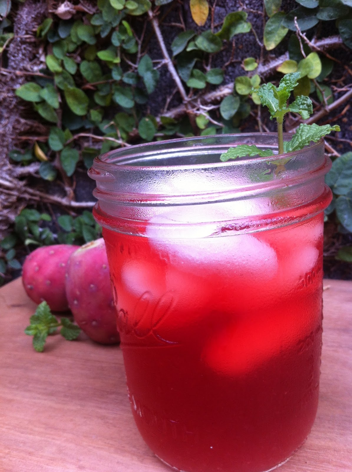 MY COOKING TIME: Agua de Tuna Roja