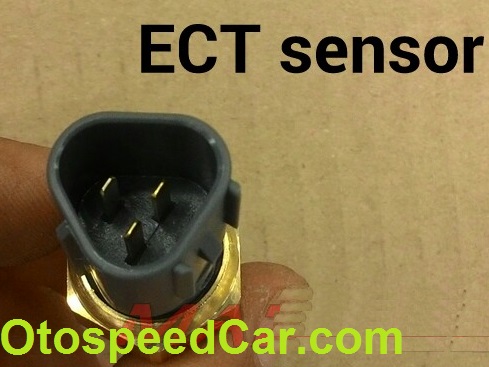 Fungsi Dan Letak Sensor-Sensor EFI Pada Mobil, Pahami Agar Anda Bisa ...