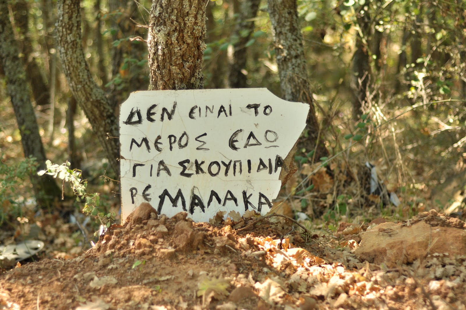 Κεραμιδόγατος ο μαντουμανταδόρος: ΚΕΡΑΜΙΔΟΓΑΤΟΣ-ΕΠΙ ΤΟΙΧΟΥ.- ΣΥΝΘΗΜΑΤΑ ...