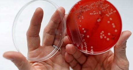 Julius Richard Petri 1852-1921 - Η ΔΙΑΔΡΟΜΗ