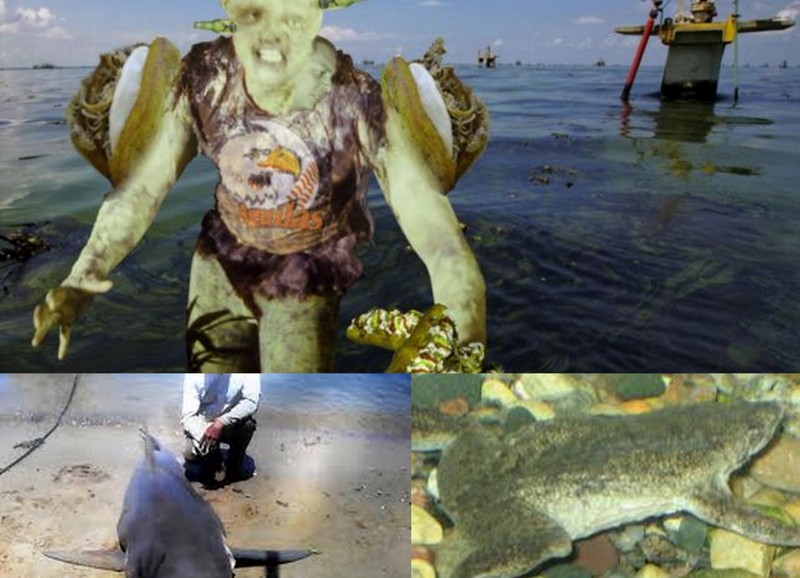 Republica del Zulia: LA FAUNA DEL LAGO DE MARACAIBO / Jesus Barboza