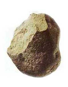 Cocinas industriales: Chopper en la prehistoria