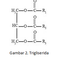 Your Chemistry: Lemak sebagai Makromolekul