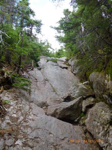 Hike New England: Trail Report: Mount Jackson and Mount Webster Loop
