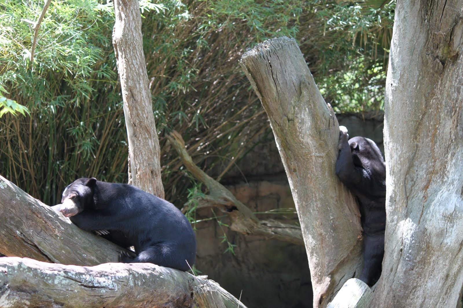 The Robertson Family: New Orleans Zoo