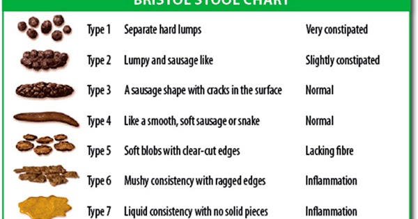 A Cor e a Forma das tuas Fezes Dizem Muito sobre a tua Saúde! | O ...
