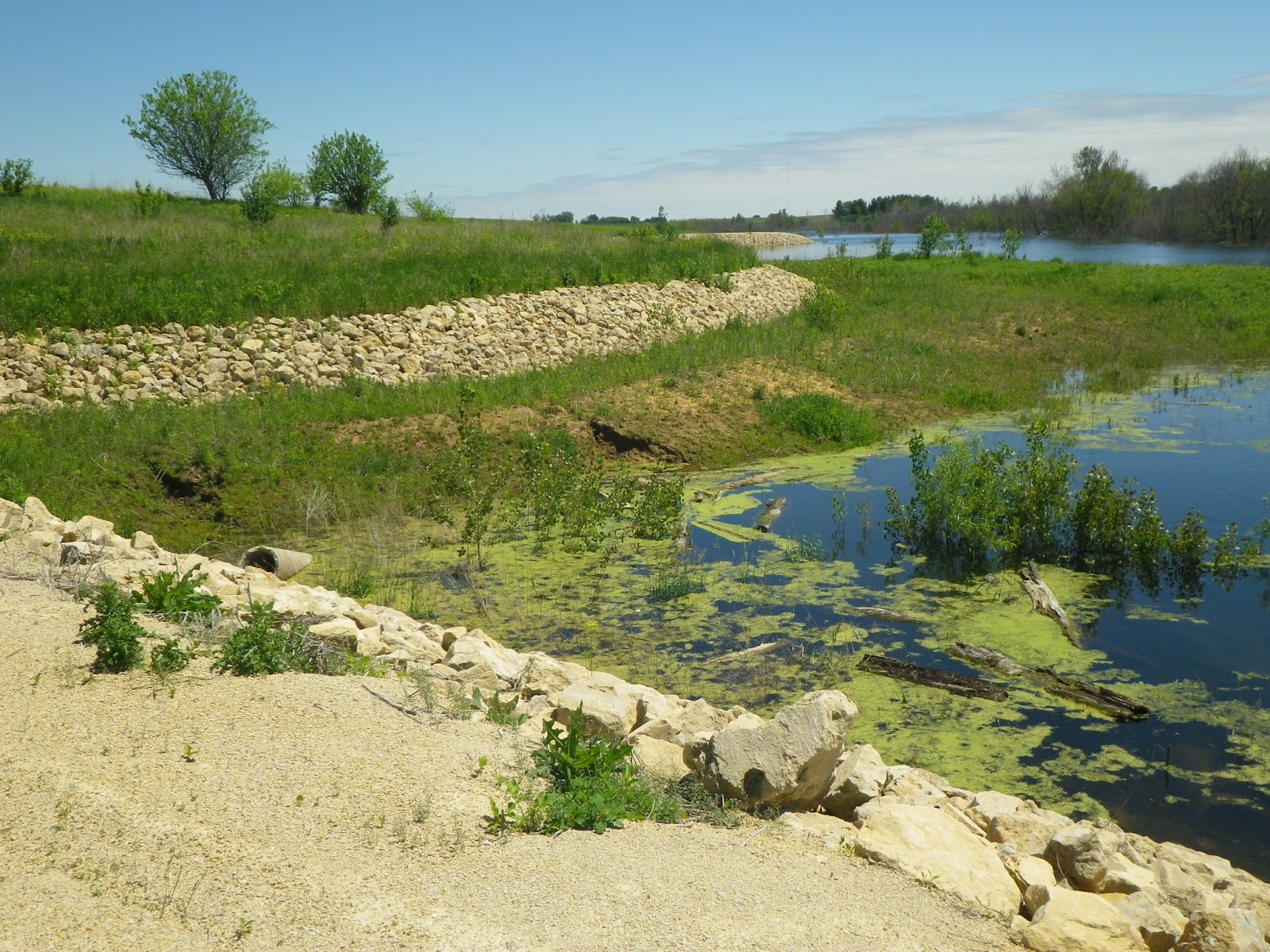 The Lost Grove Lake Mapping Project: It's Getting Closer To Full