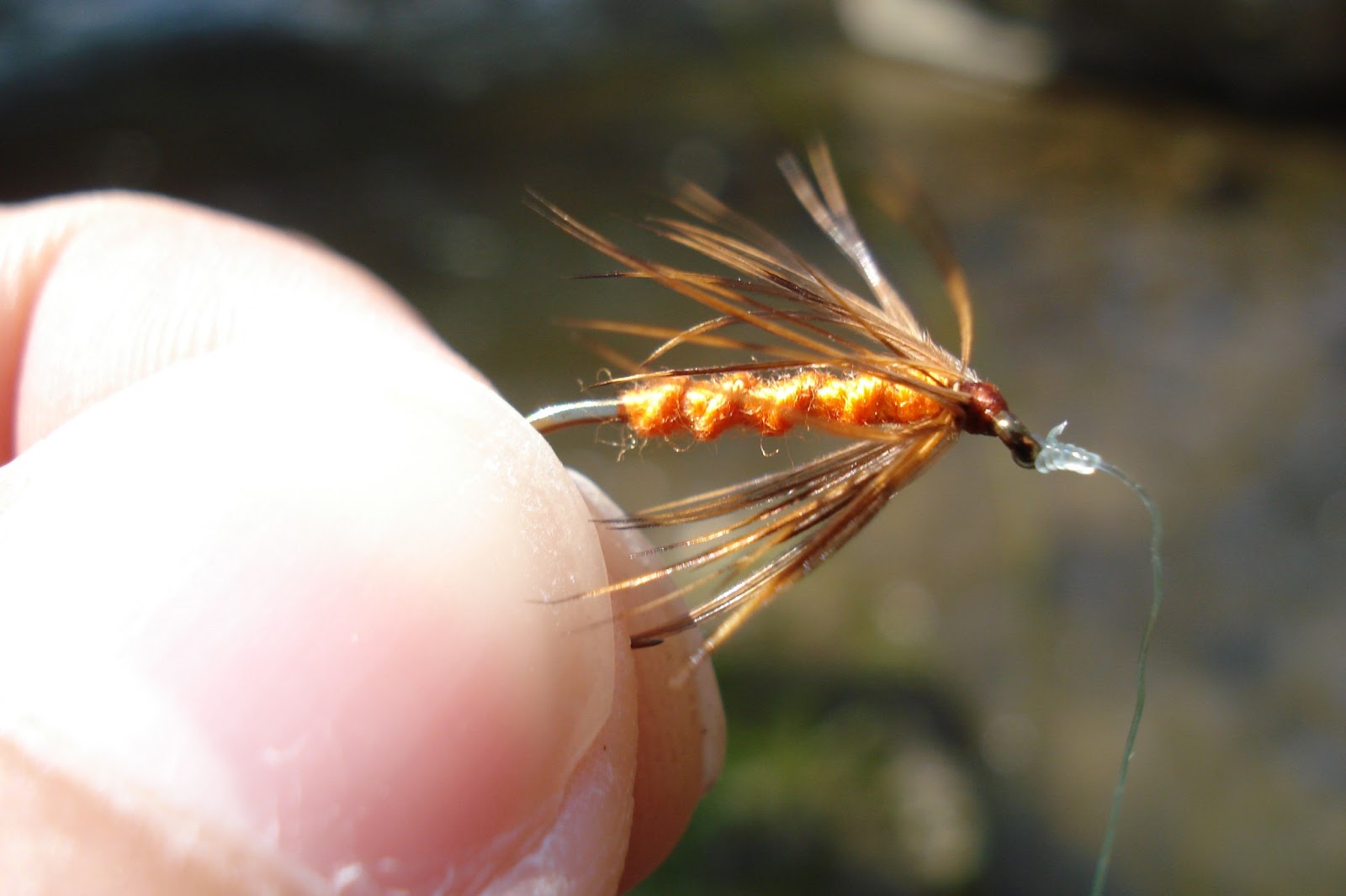 SOFT HACKLES, TIGHT LINES: June 2013
