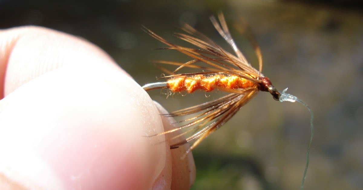 SOFT HACKLES, TIGHT LINES: A Very Necessary Definition and a Modus Operandi