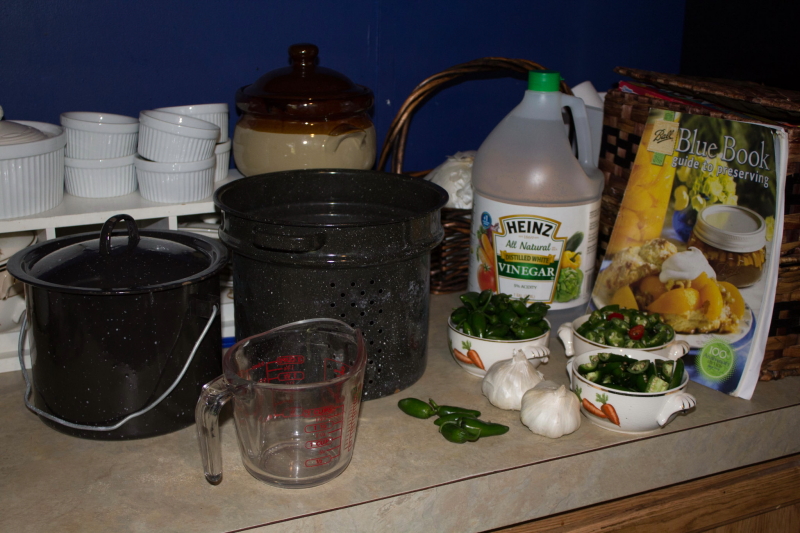 The Redneck Hippie: Canning Hot Peppers The Easy Way ~ AKA Small Batch ...