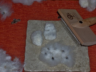 HeartSong Studio: Ginning Cotton by Hand