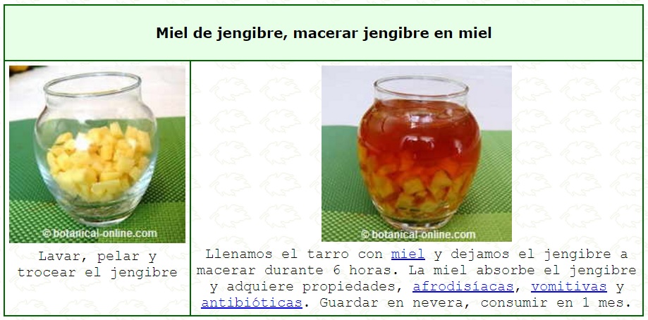 Medicina Tradicional: Maceración