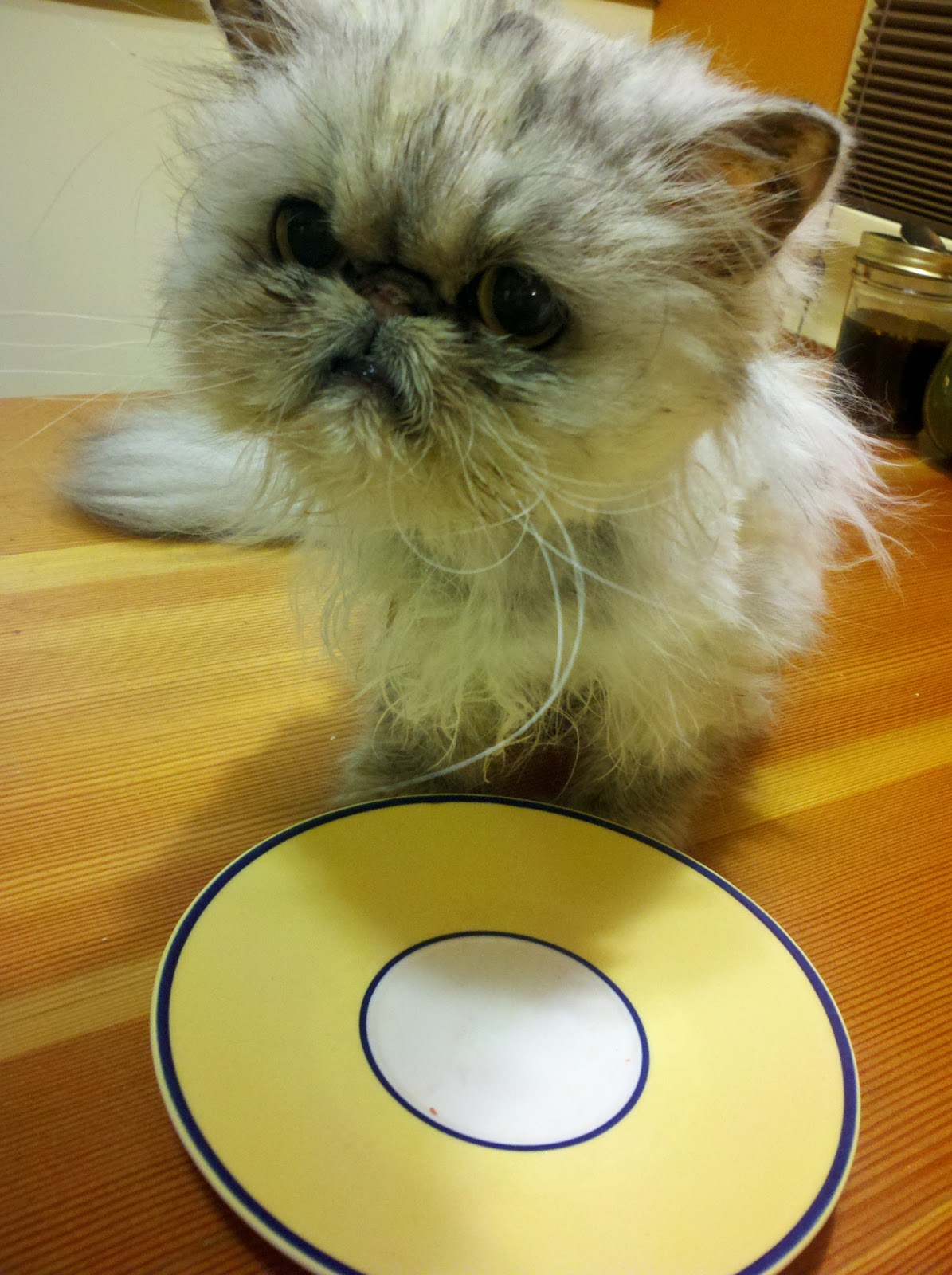 Montana Wildlife Gardener: December 2012