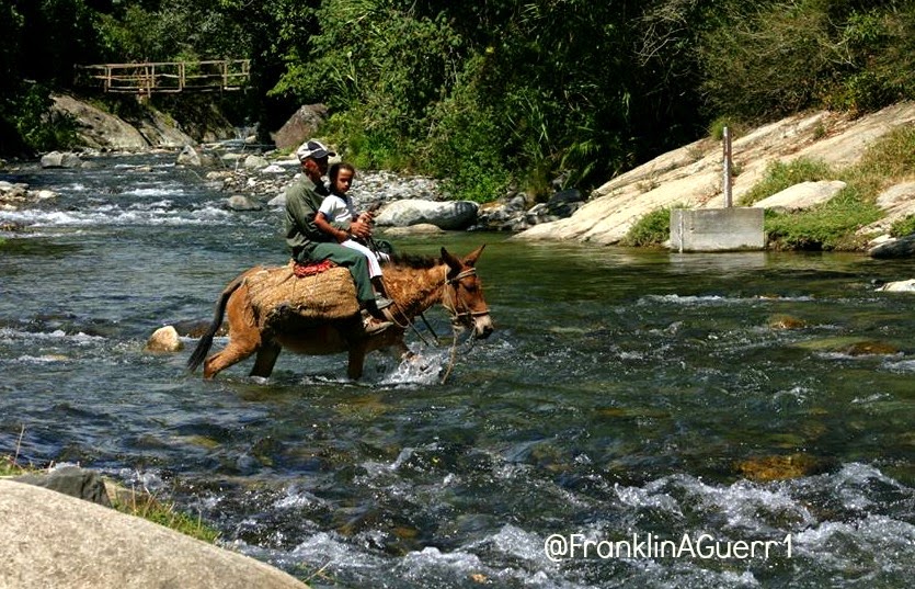 Cruzando el rió a caballo en un campo domicano – Imagenes Dominicanas