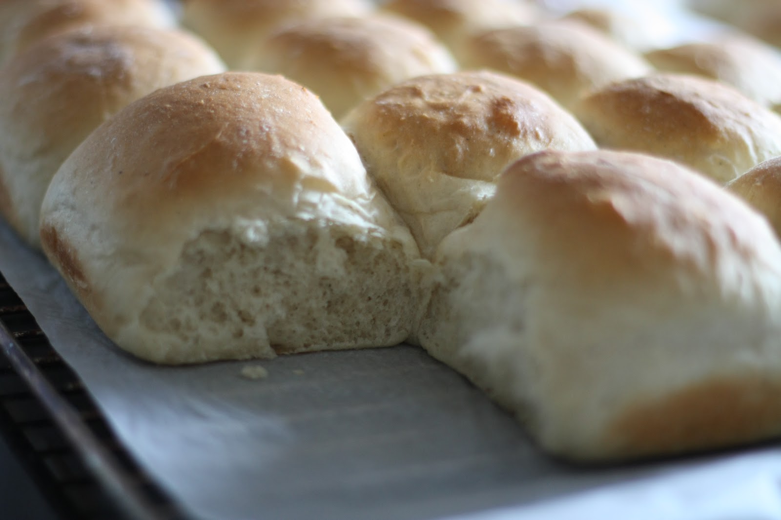 De bedste krydderboller i verden