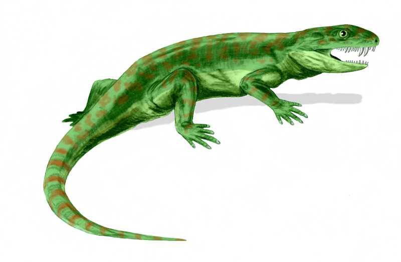 Los animales en la prehistoria: junio 2013