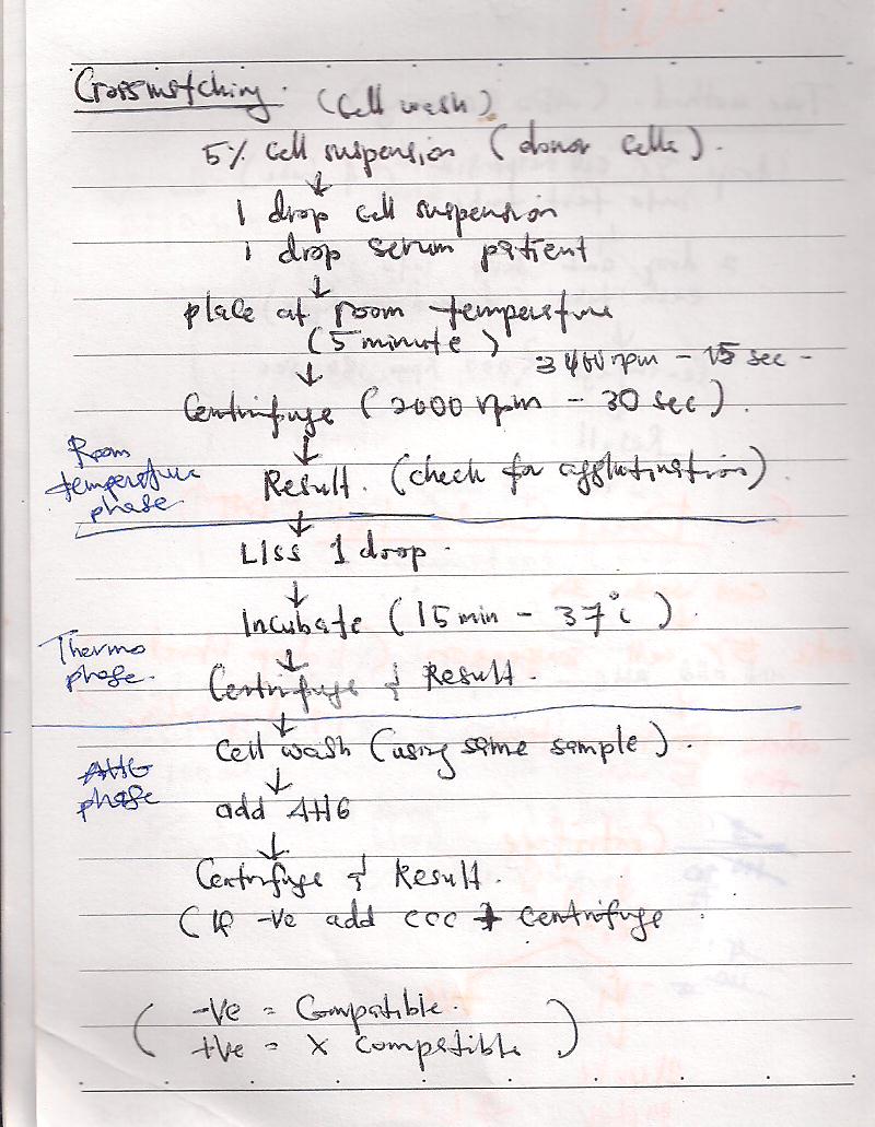 Medical Laboratory Technology - SOP: Crossmatching