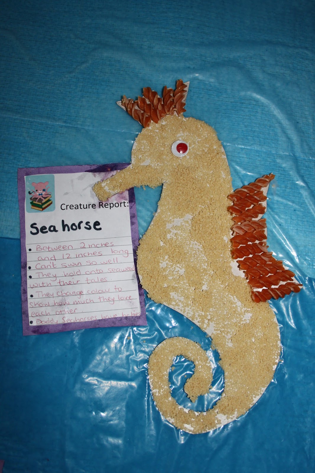 3littlemuslimahs: Sea Life Project - Part 1