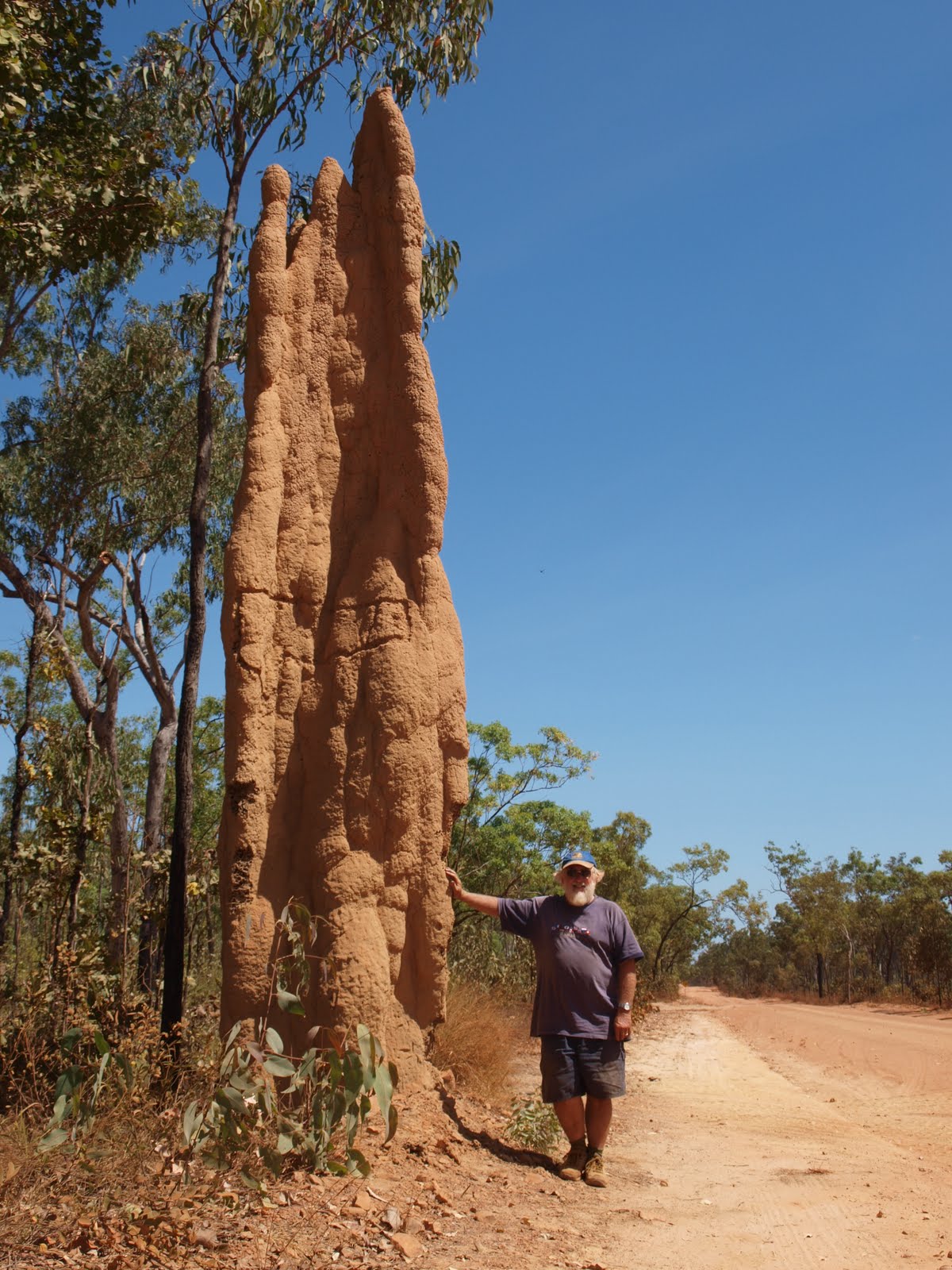 Outback Snack: May 2011