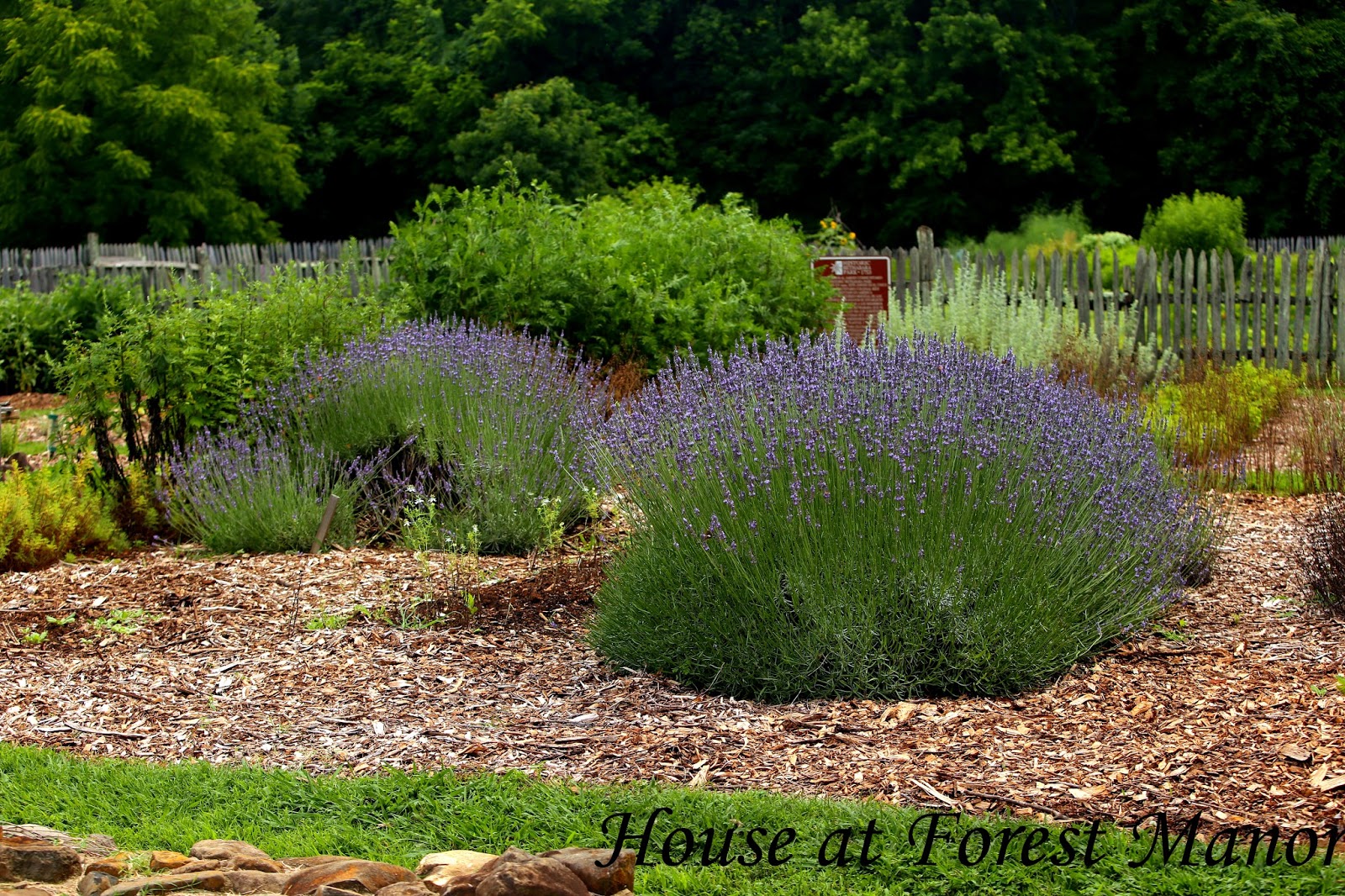 House at Forest Manor: The Gardens at Bethabara Park