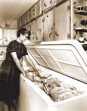 Marie Hanrahan Photography: Freezer scene