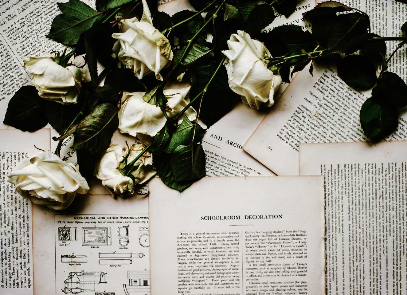 Classy Backgrounds For Tumblr