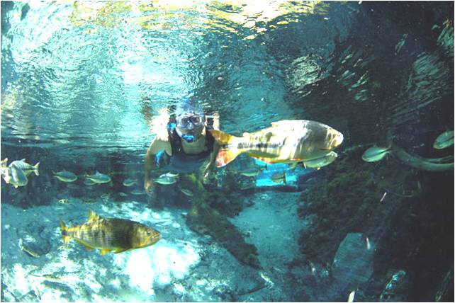 Municípios Turísticos Mato Grosso: Nobres - Mato Grosso - Brazil - Um ...