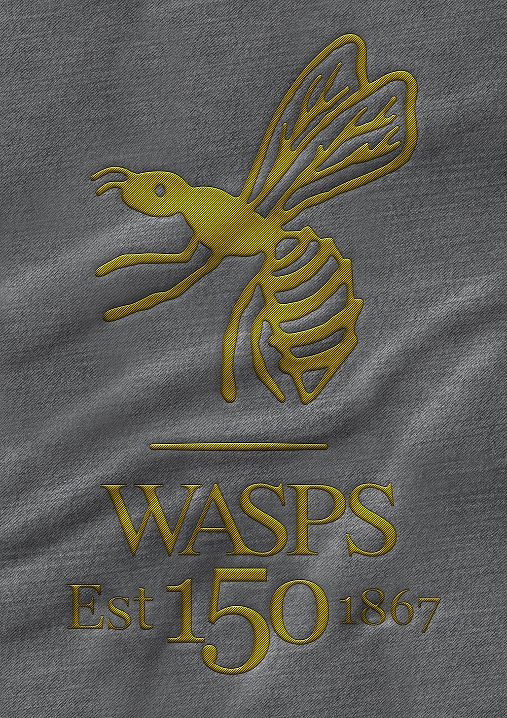 NeTaBoB's Blog: Wasps Rugby 150th Anniversary Year