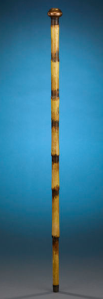 Dioramas and Clever Things: Can your can do this? Gadget Canes Part I