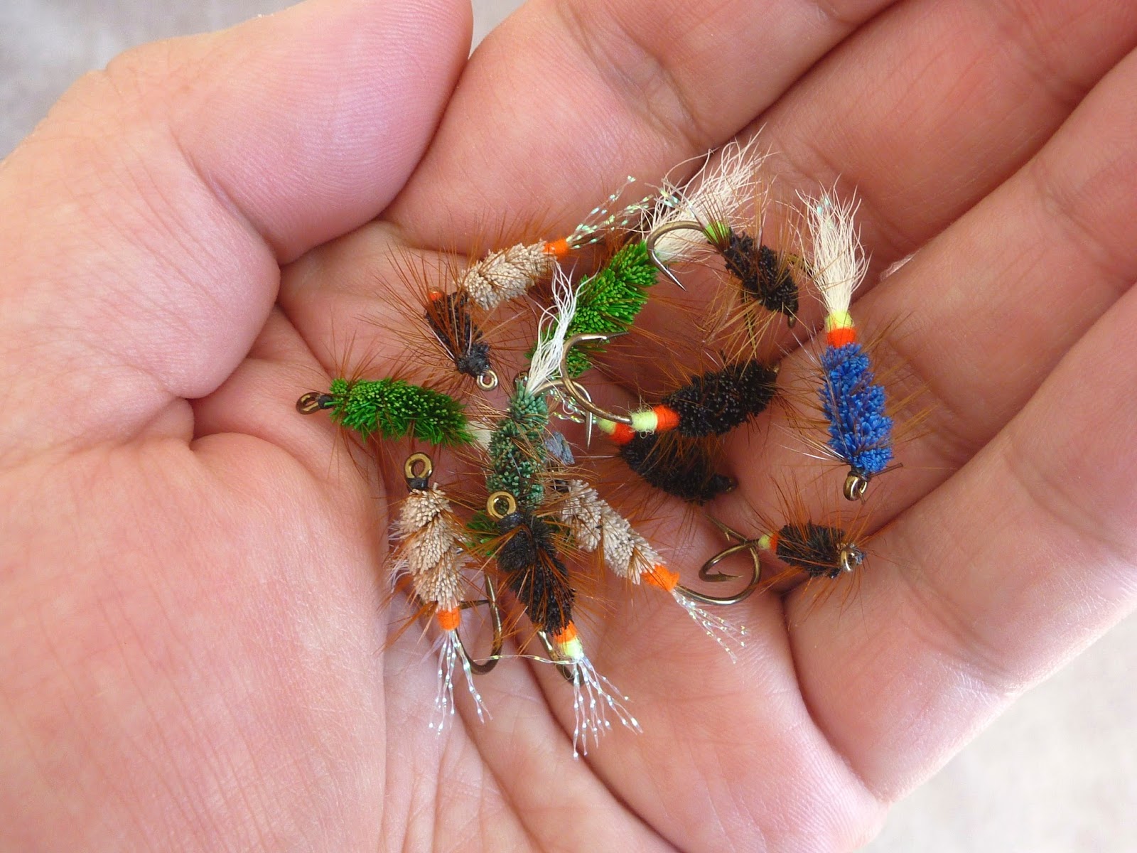 Atlantic Salmon Flies: Connecticut Broodstock Atlantic Salmon Season ...