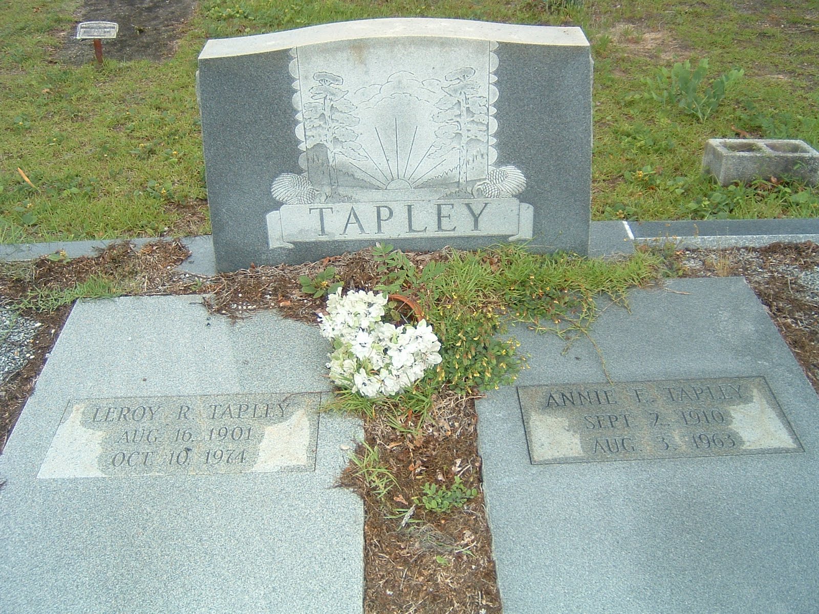 My Tapley Tree...and its Branches: Tombstone Tuesday: Leroy Tapley and ...
