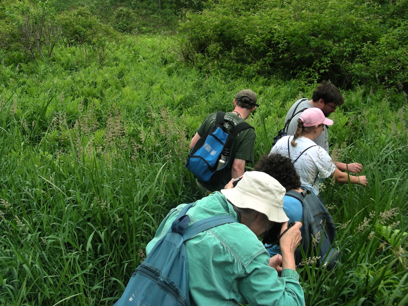 Pennypack's Natural Landscapes: Bethayres Swamp Slog